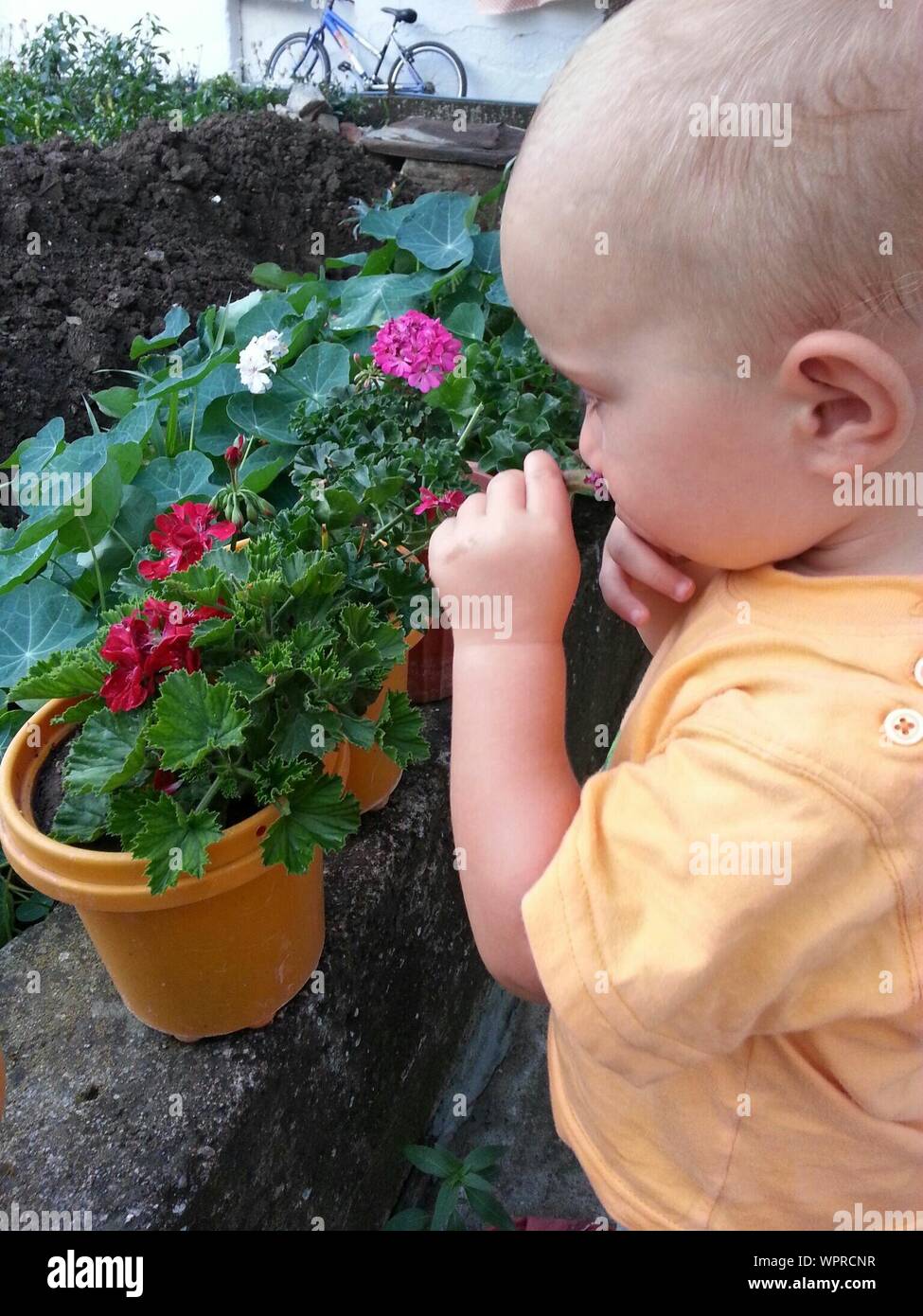 Child Smelling Flower High Resolution Stock Photography and Images - Alamy