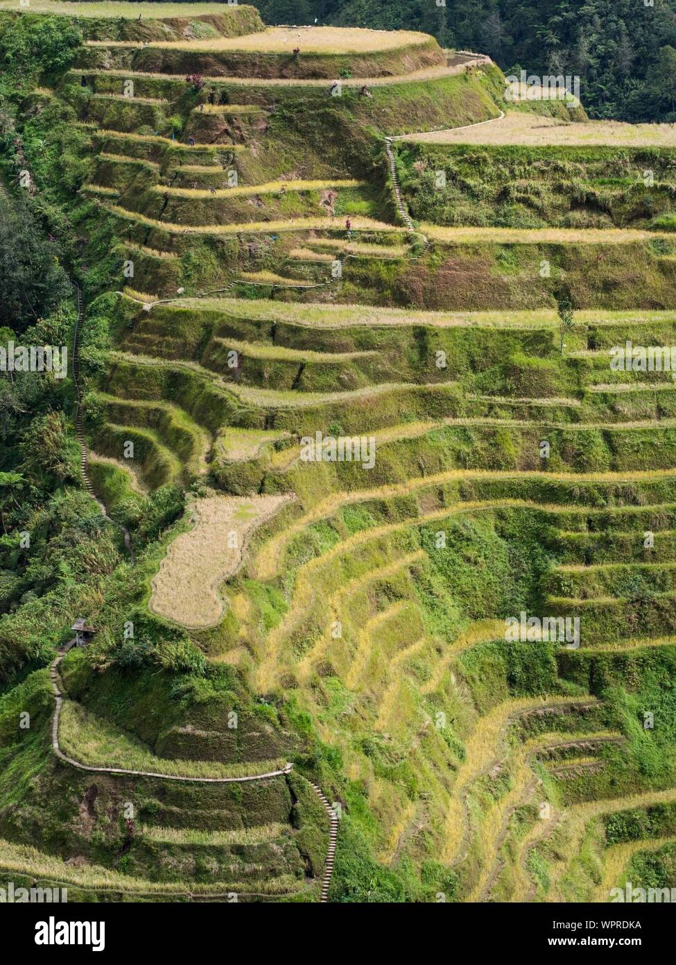 Ifugao rice terraces hi-res stock photography and images - Alamy