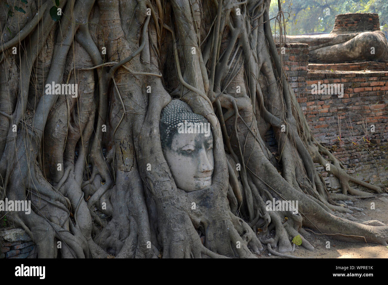 Tree Trunk Sculpture High Resolution Stock Photography and Images - Alamy