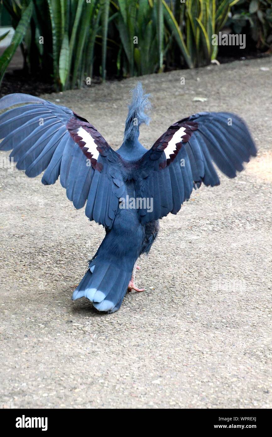 Taking off from road hi-res stock photography and images - Alamy