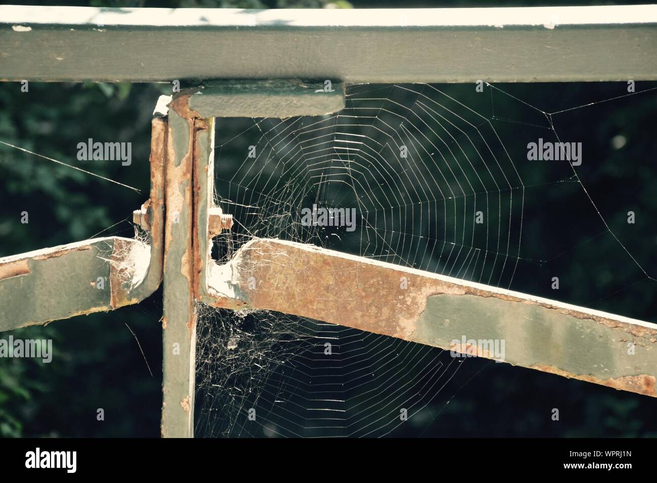 Spider Web On Metal Railing Stock Photo - Alamy
