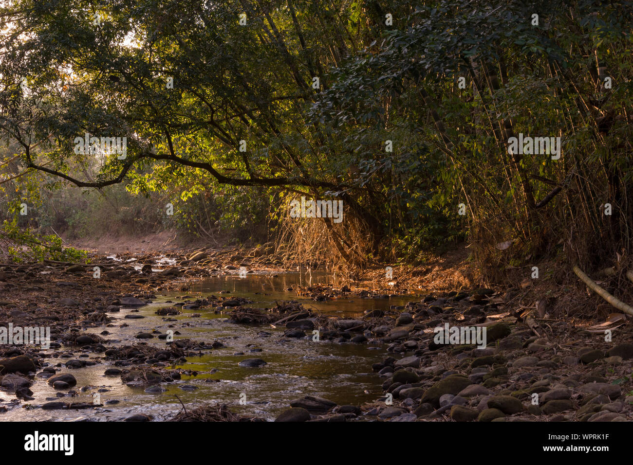 Amboró national park hi-res stock photography and images - Alamy