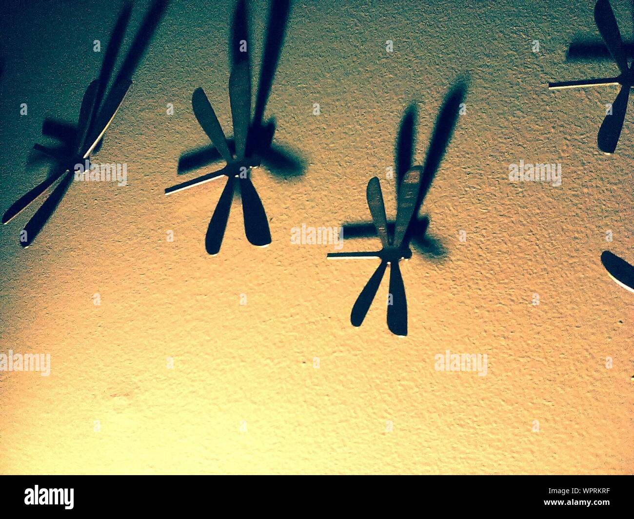 Dragonfly Room High Resolution Stock Photography and Images - Alamy