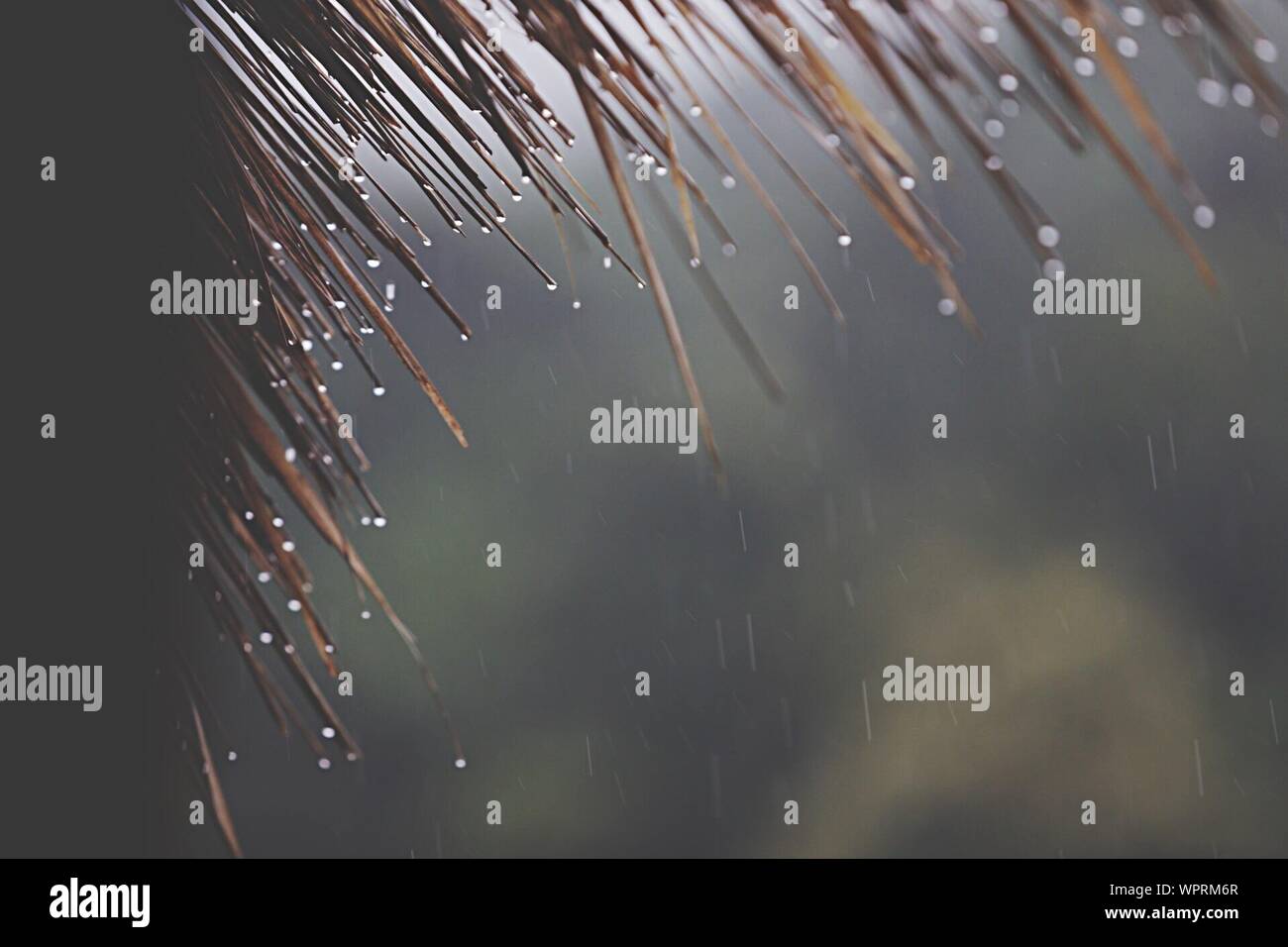 Falling from roof hi-res stock photography and images - Alamy
