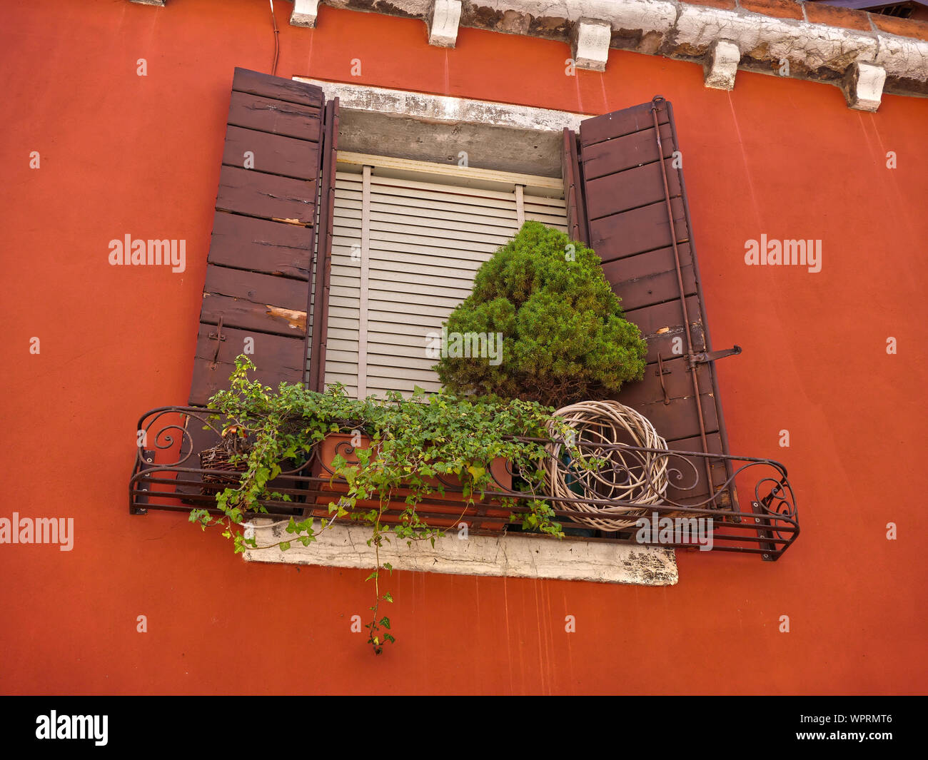 Window with plants hi-res stock photography and images - Alamy