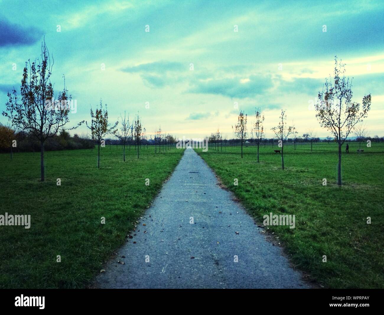 Farm Crossing High Resolution Stock Photography and Images - Alamy