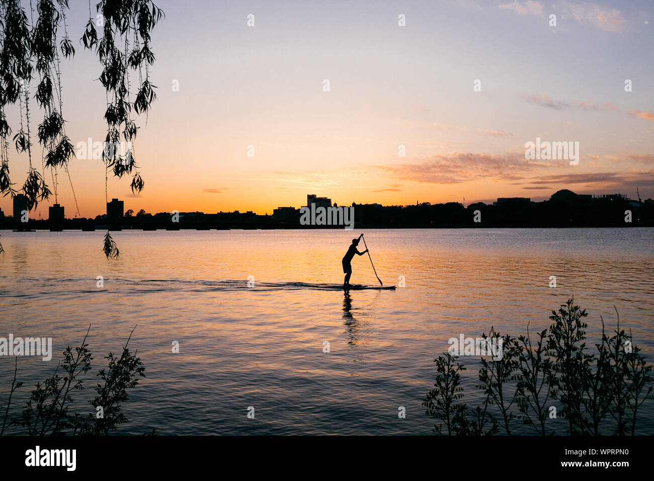 Silhouette Of Person Rowing Boat Stock Photo - Alamy