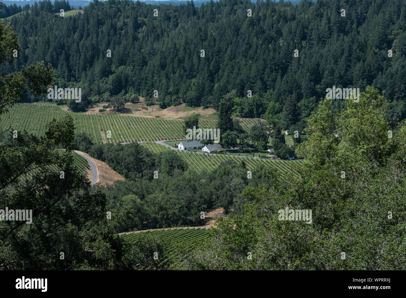 Fred Macmurray Stock Photos & Fred Macmurray Stock Images - Alamy