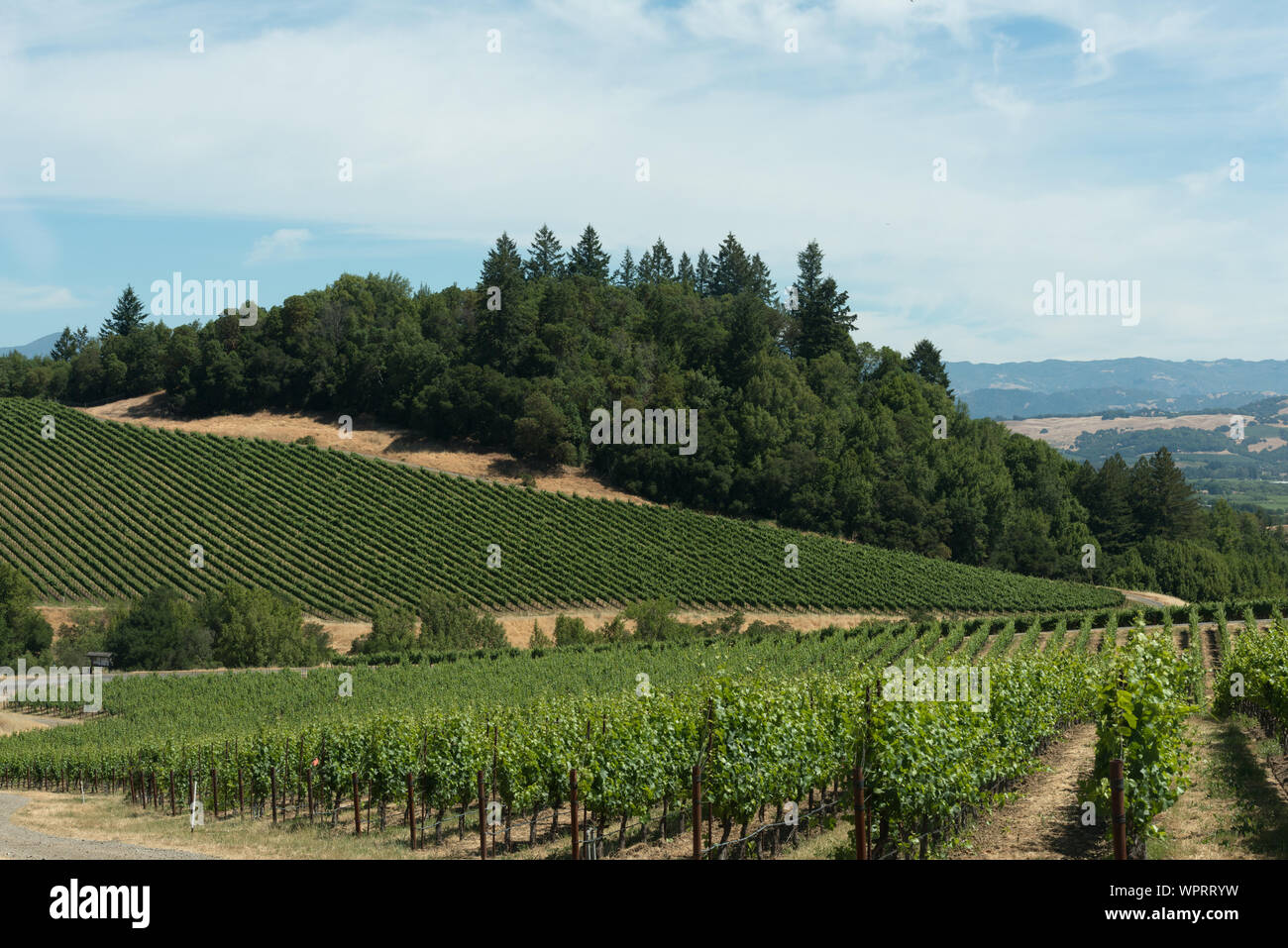 MacMurray Ranch located in the Russian River Valley in northern ...