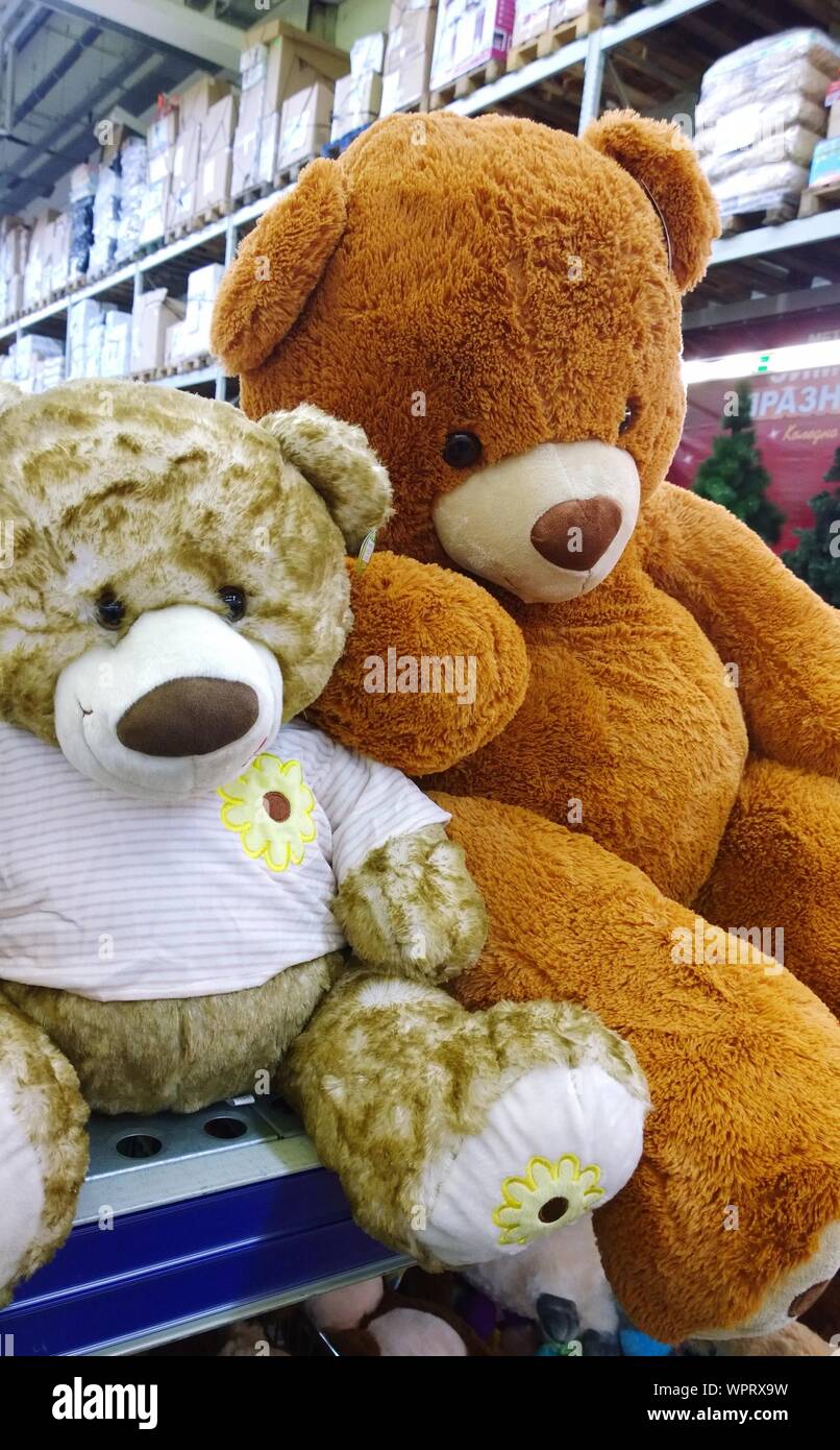 Stuffed teddy bears in store hi-res stock photography and images - Alamy