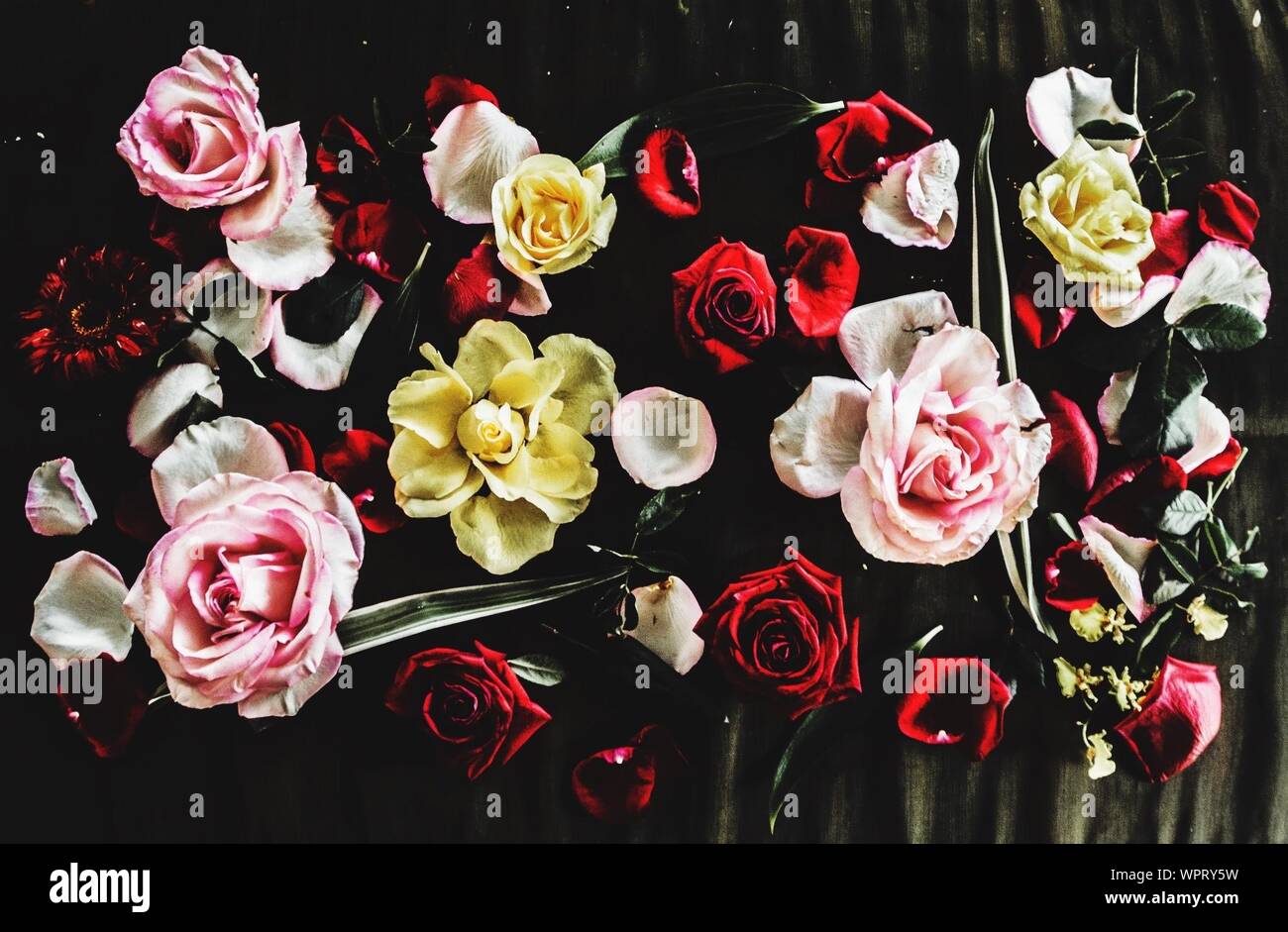 Multi stall hi-res stock photography and images - Alamy