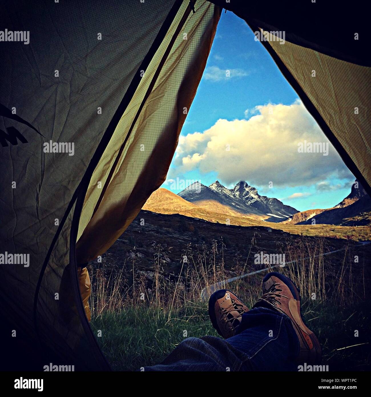 View from the tent hi-res stock photography and images - Alamy