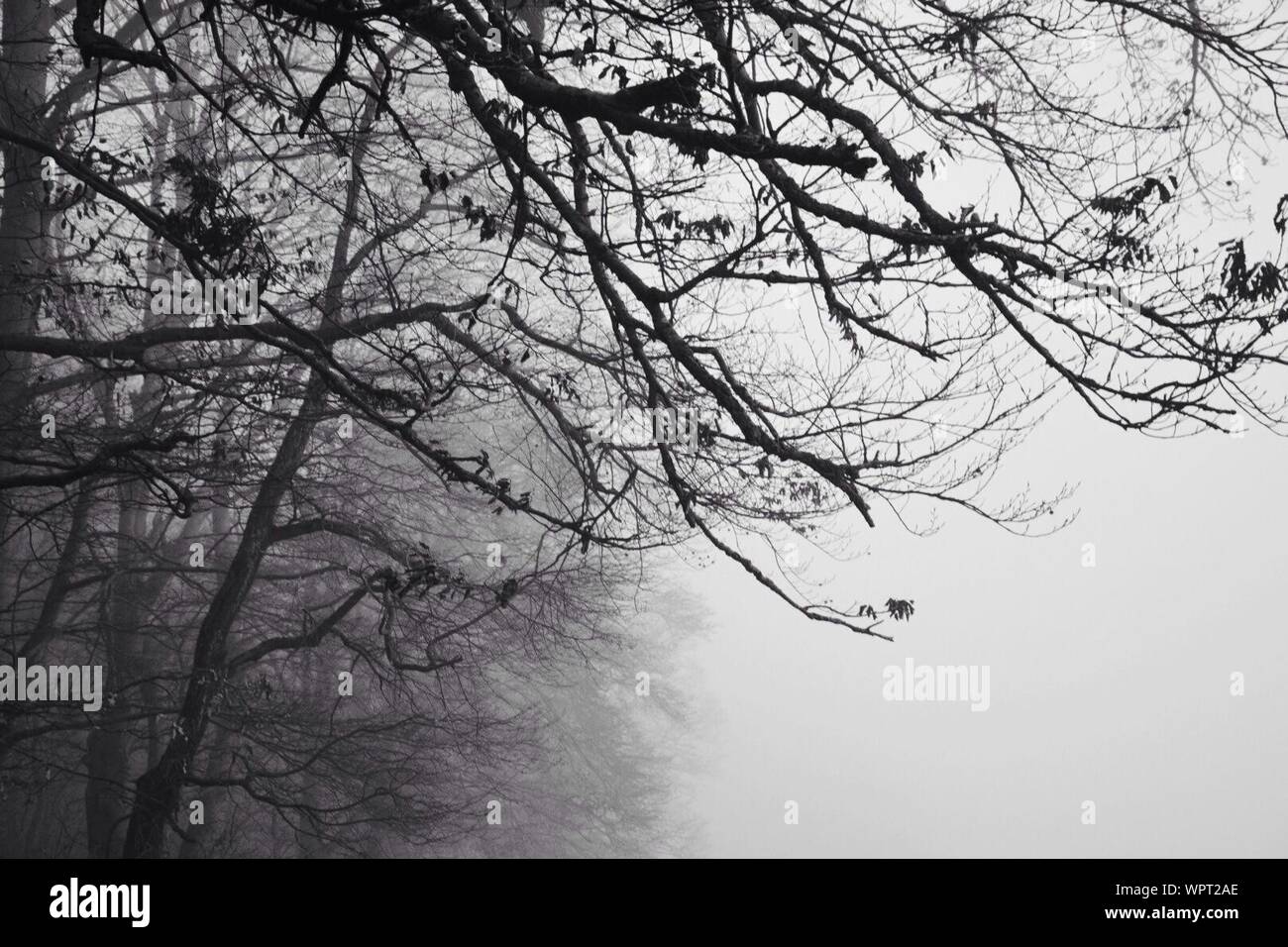 Surrounding change hi-res stock photography and images - Alamy