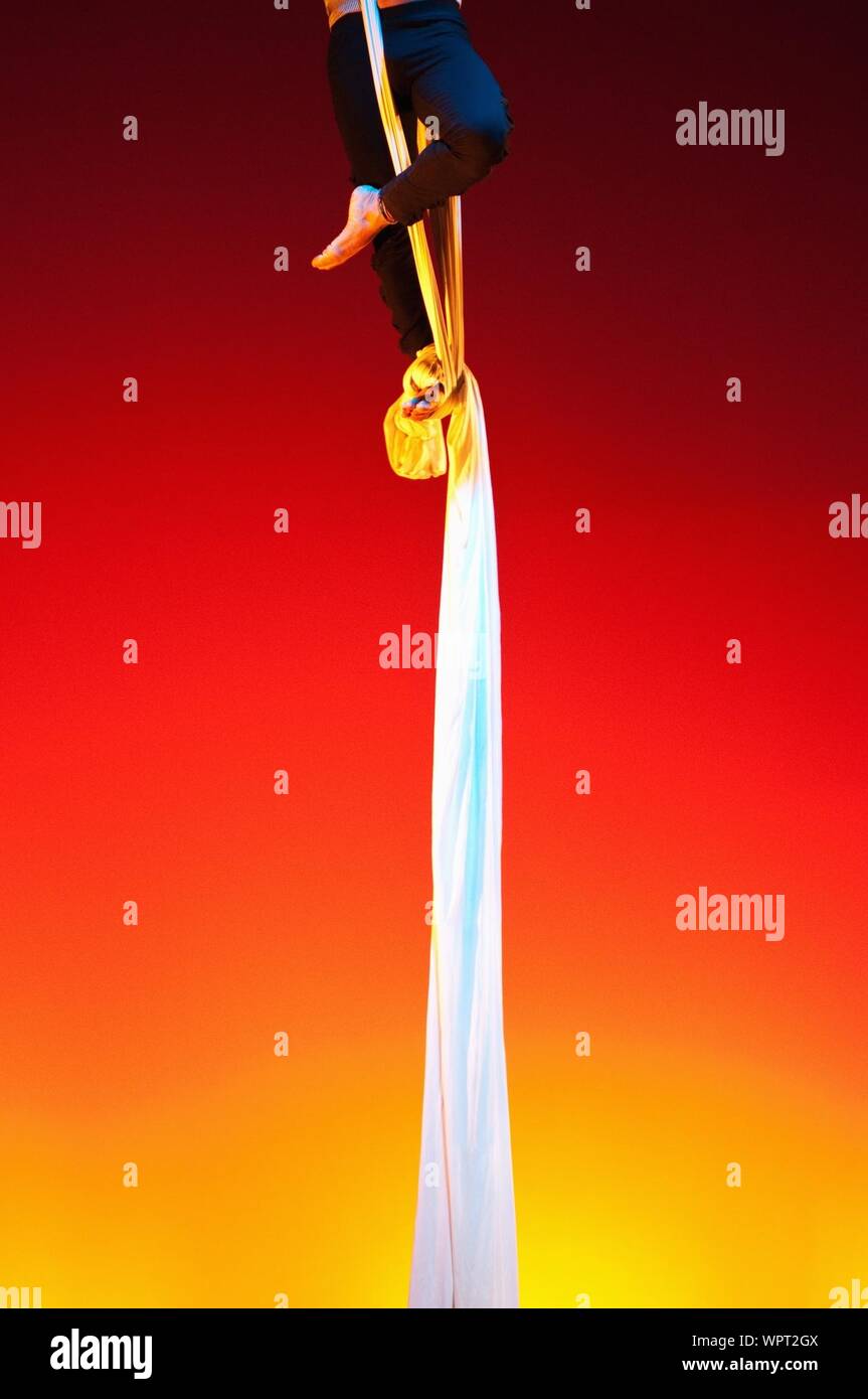 Hanging by a leg hi-res stock photography and images - Alamy