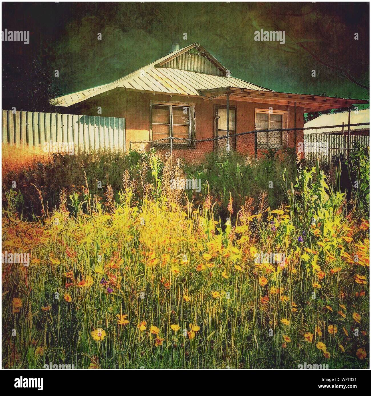 Wildflower field house hi-res stock photography and images - Alamy