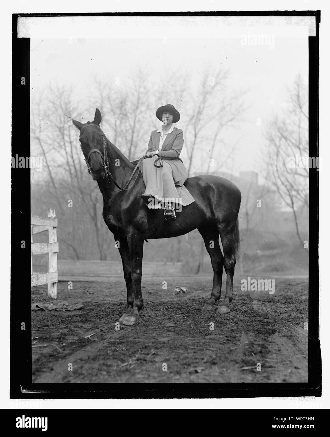 Yousry hi-res stock photography and images - Alamy