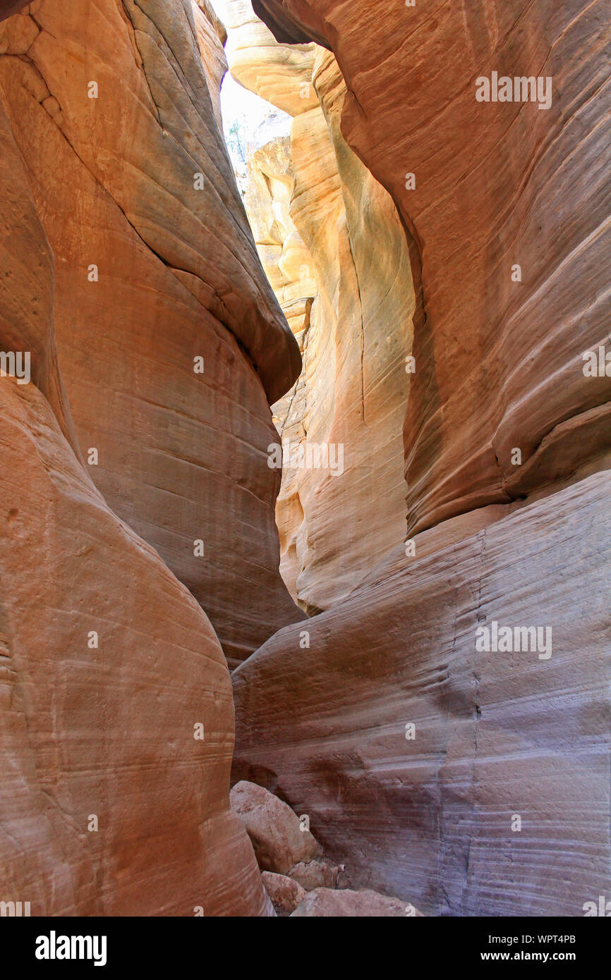 Bull gorge hi-res stock photography and images - Alamy