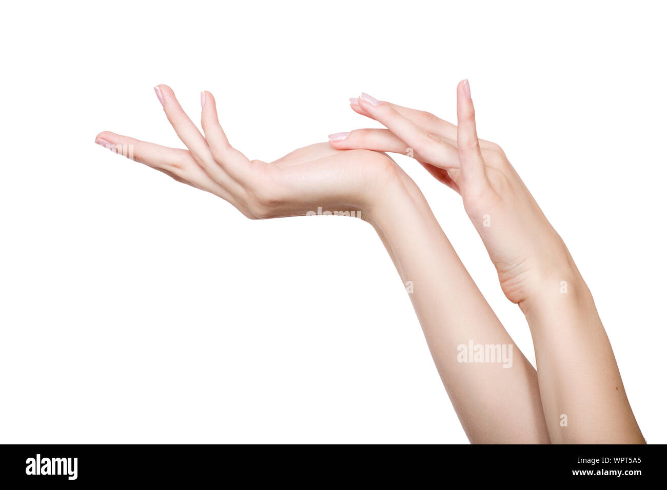 Human body limb hi-res stock photography and images - Alamy