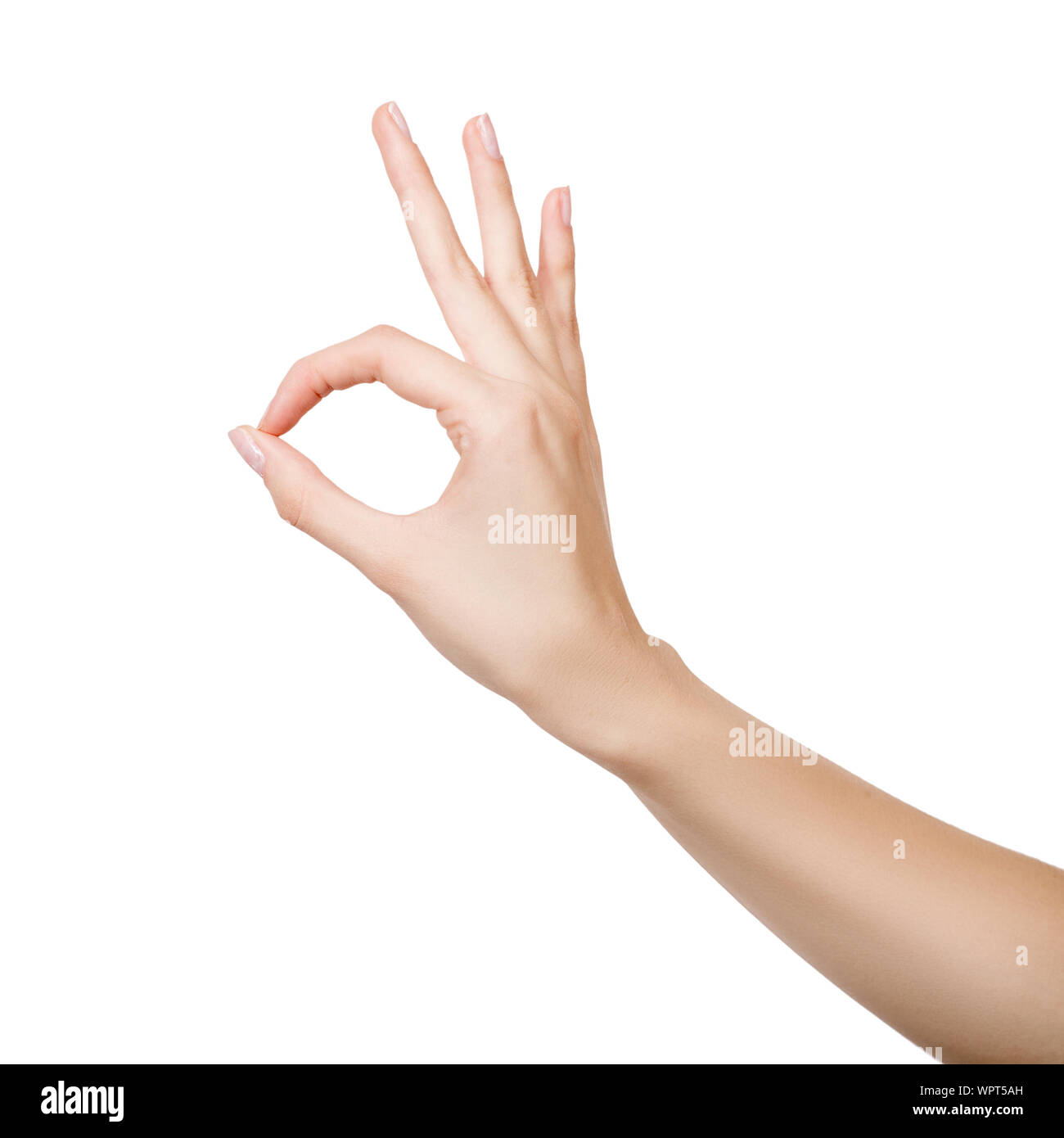 Human body limb hi-res stock photography and images - Alamy