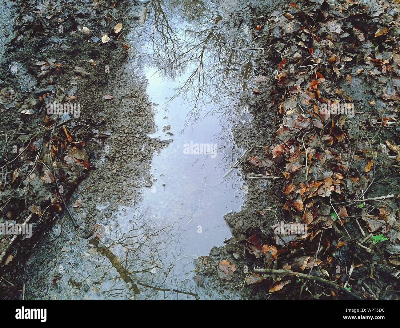 Muddy puddle reflection hi-res stock photography and images - Alamy