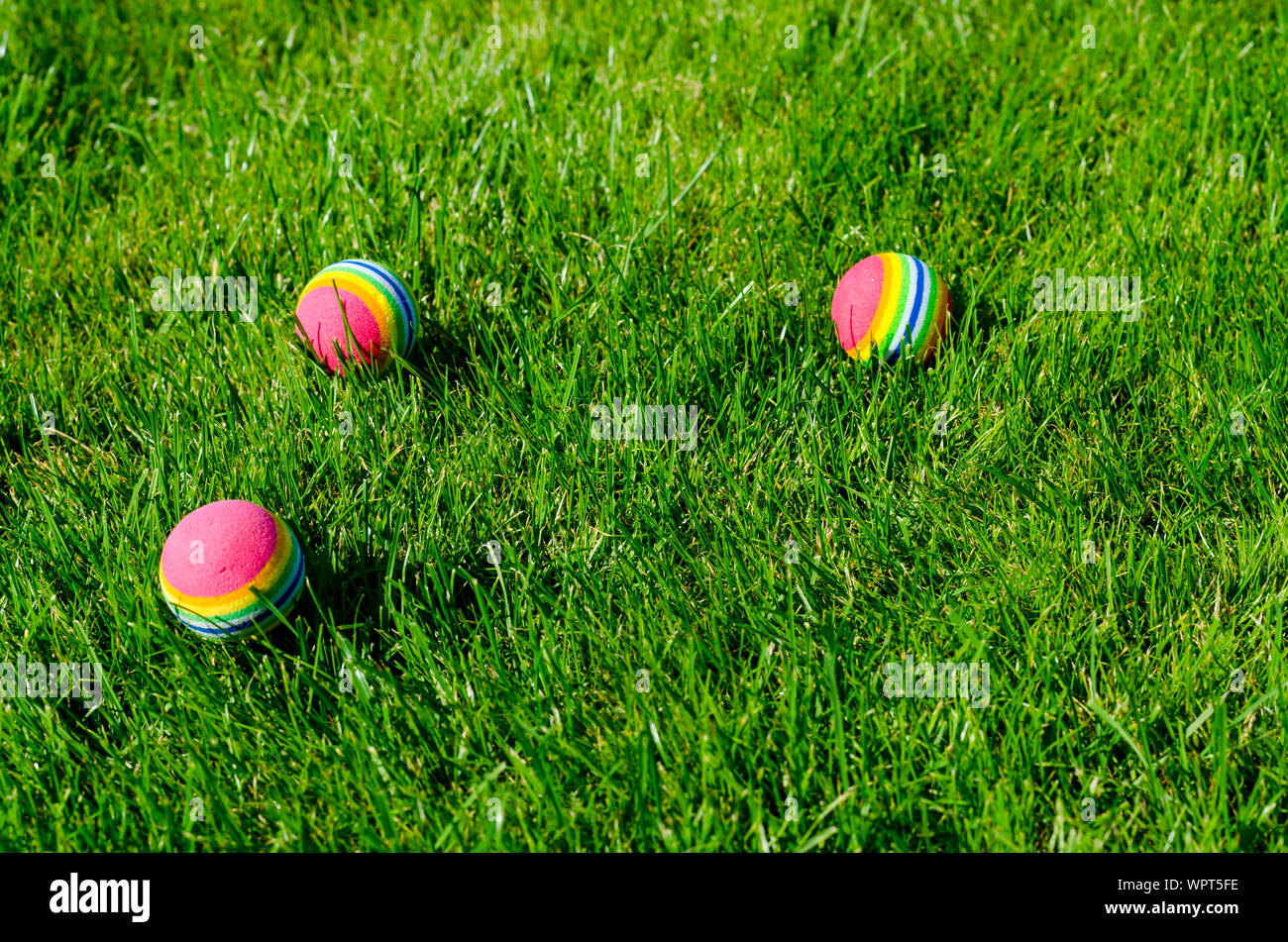 Colored little balls for cats, dogs on green grass Stock Photo - Alamy