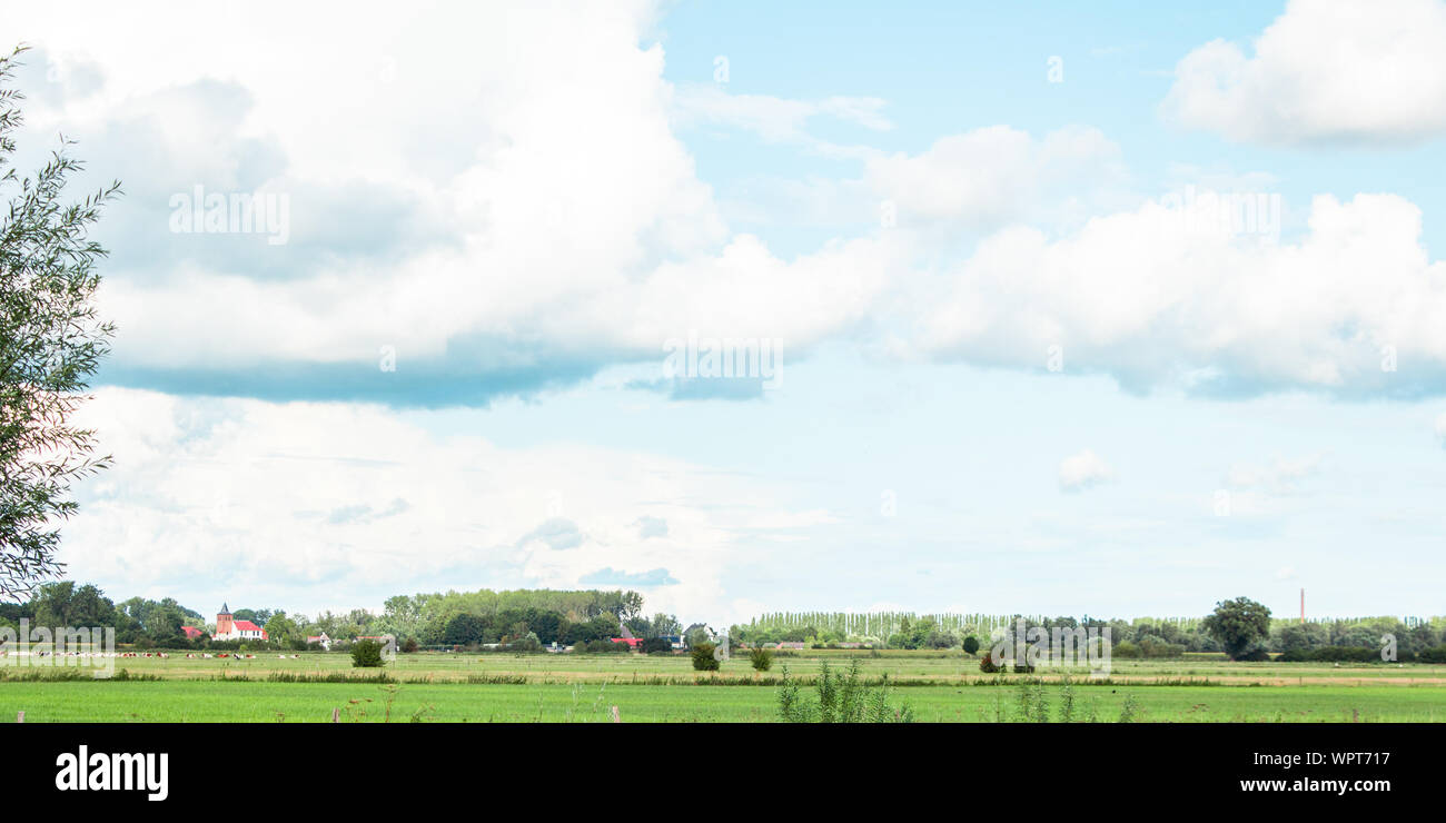 A Dutch polder meadow landscape in front of the traditional Dutch ...
