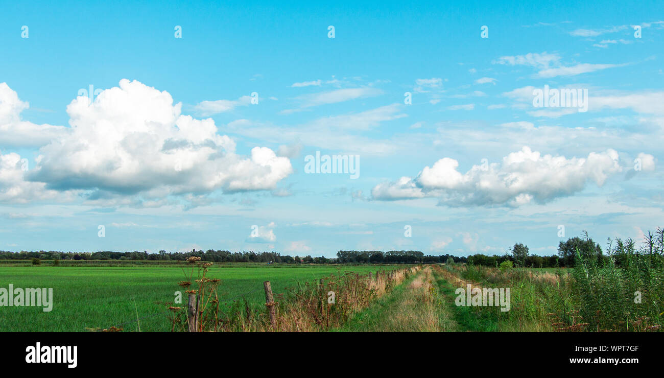 Overgrown path hi-res stock photography and images - Alamy