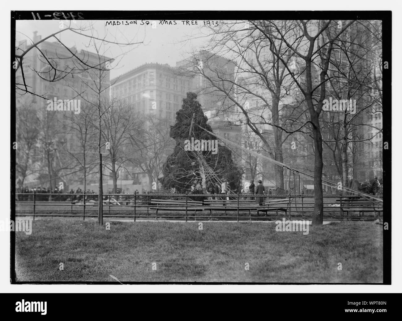 Madison square christmas tree hi-res stock photography and images - Alamy