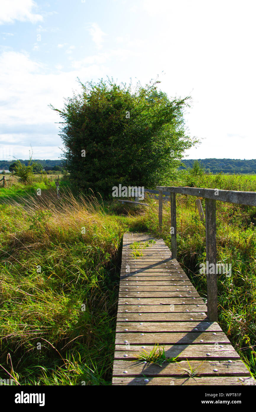 Wooden bridge over a ditch hi-res stock photography and images - Alamy