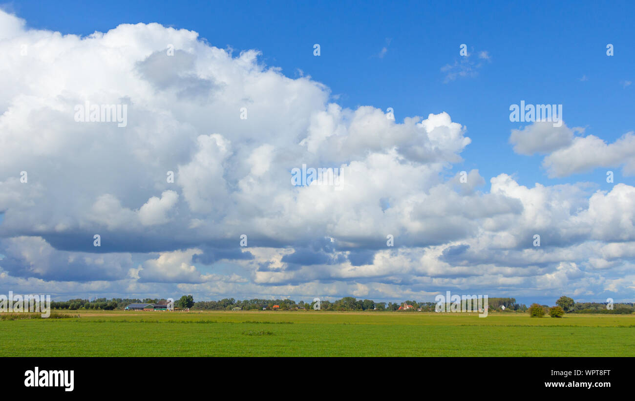 A Dutch polder meadow landscape in front of the traditional Dutch ...