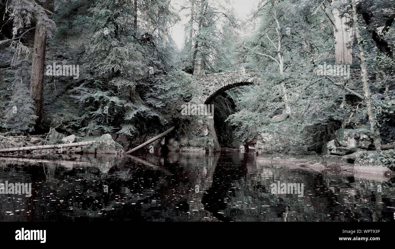 Overgrown stone bridge hi-res stock photography and images - Alamy