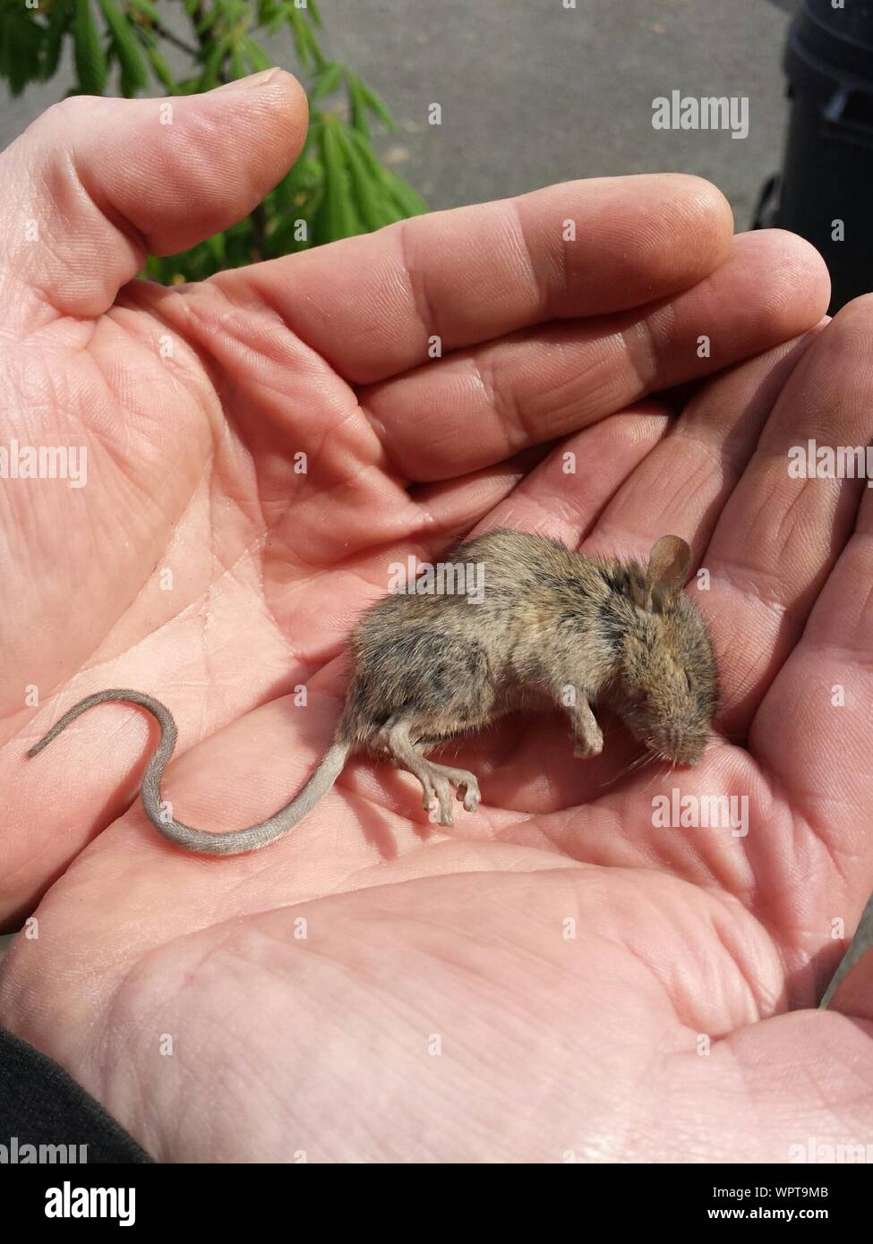 Mans hands hi-res stock photography and images - Alamy