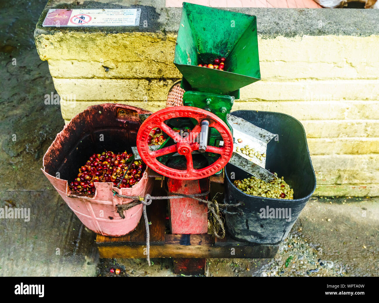 Colombia Coffee Harvest Stock Photos & Colombia Coffee Harvest Stock ...