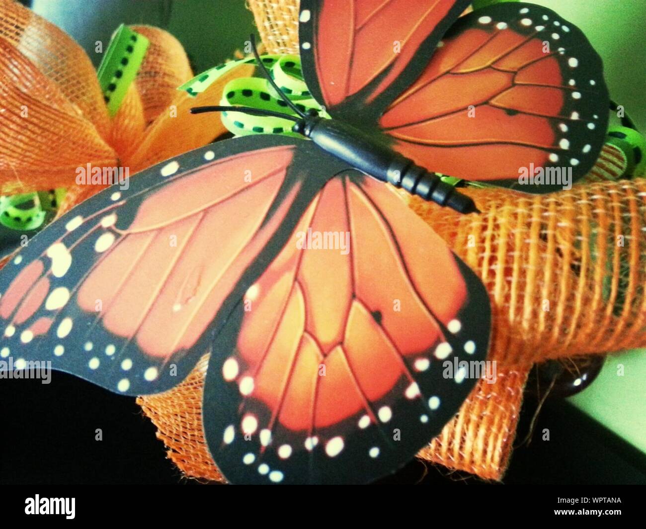 Fake butterfly hi-res stock photography and images - Alamy
