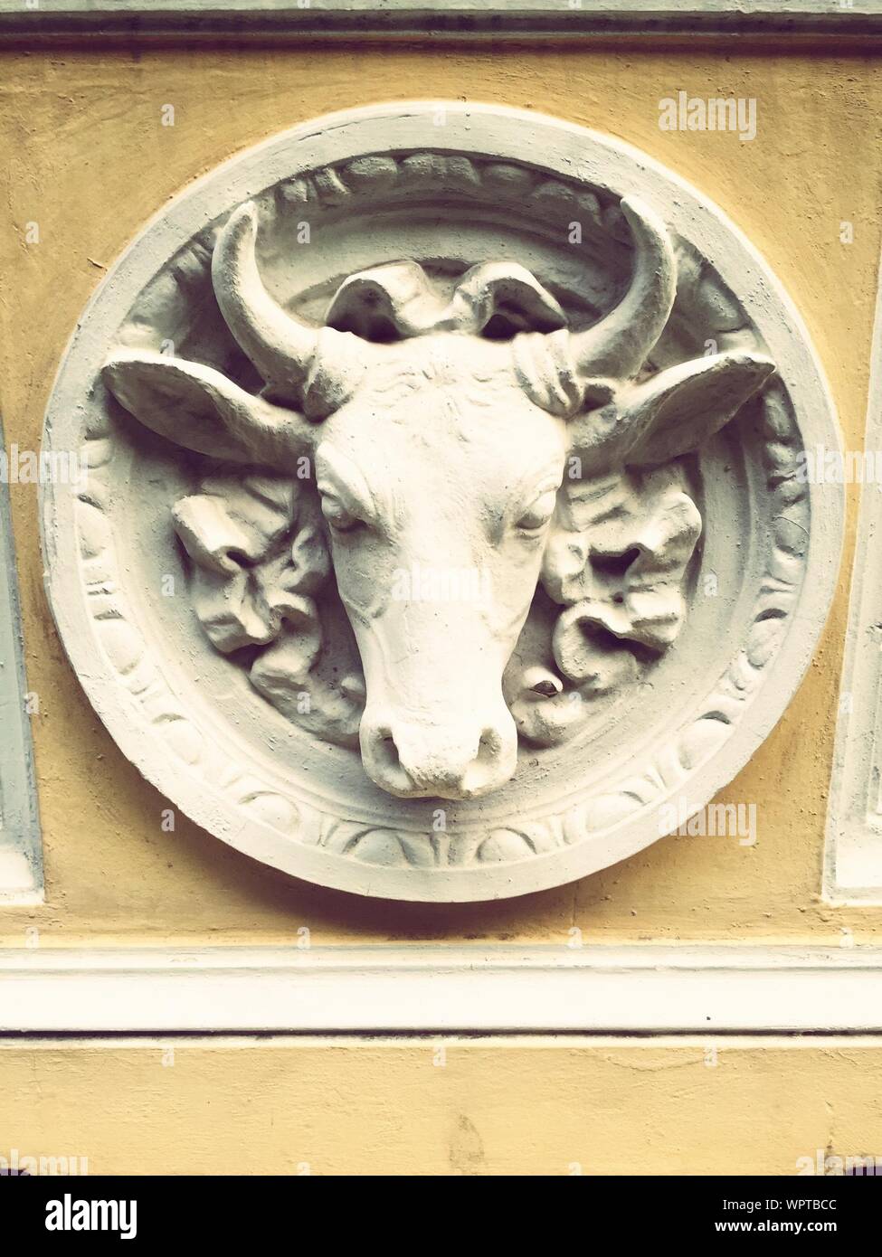 Bull Head Statue High Resolution Stock Photography and Images - Alamy