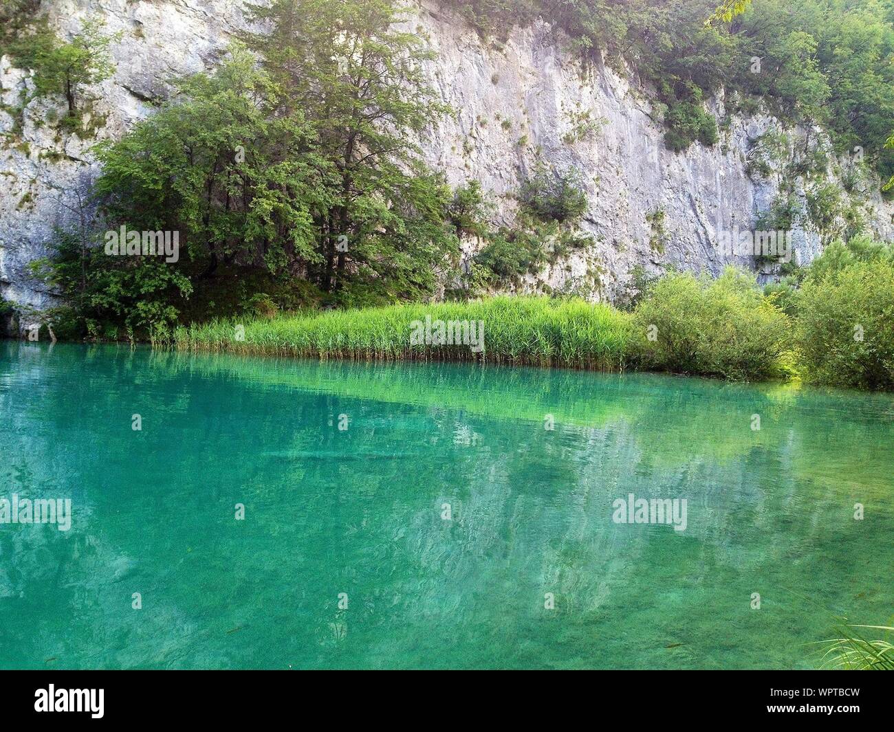 Reed river hi-res stock photography and images - Alamy