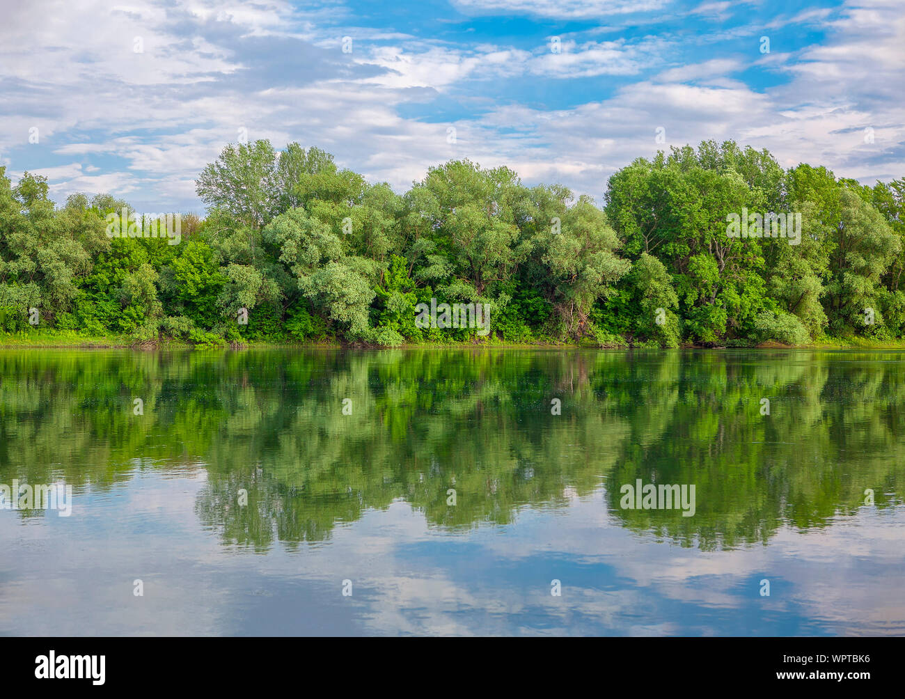 green nature reflection in lake water Stock Photo - Alamy