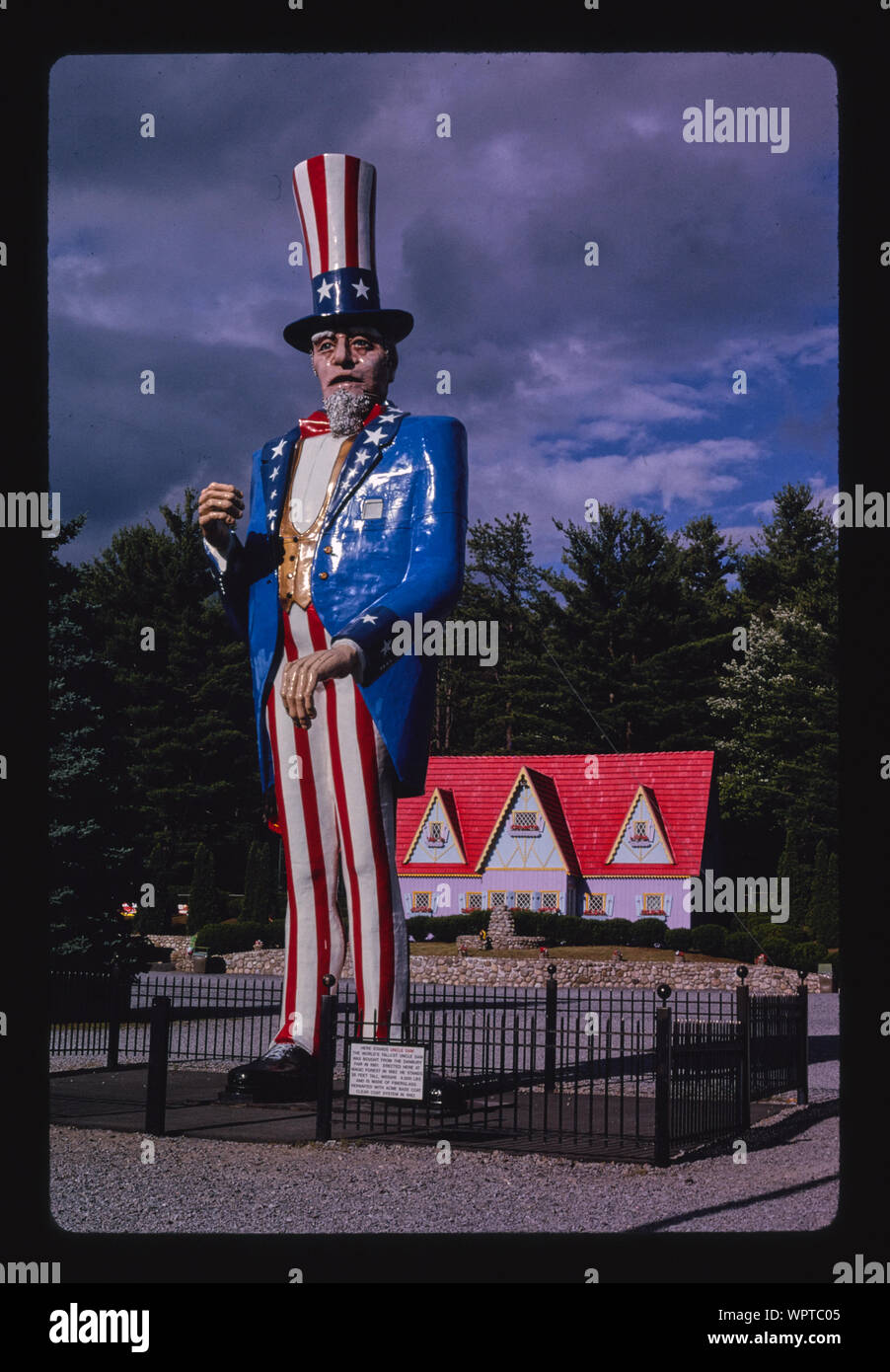 Magic Forest, Lake George, New York Stock Photo - Alamy
