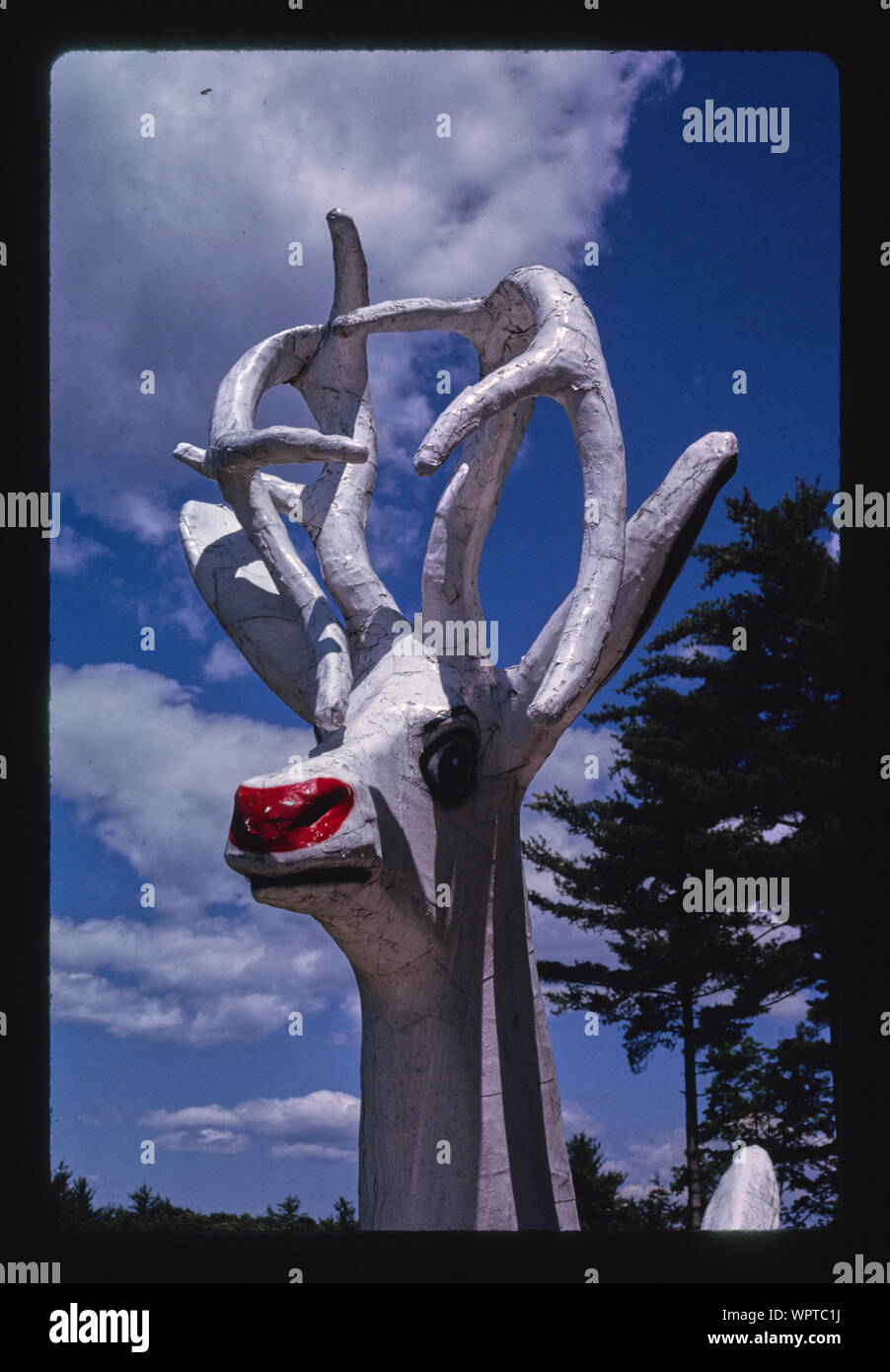 Magic Forest, Lake George, New York Stock Photo - Alamy