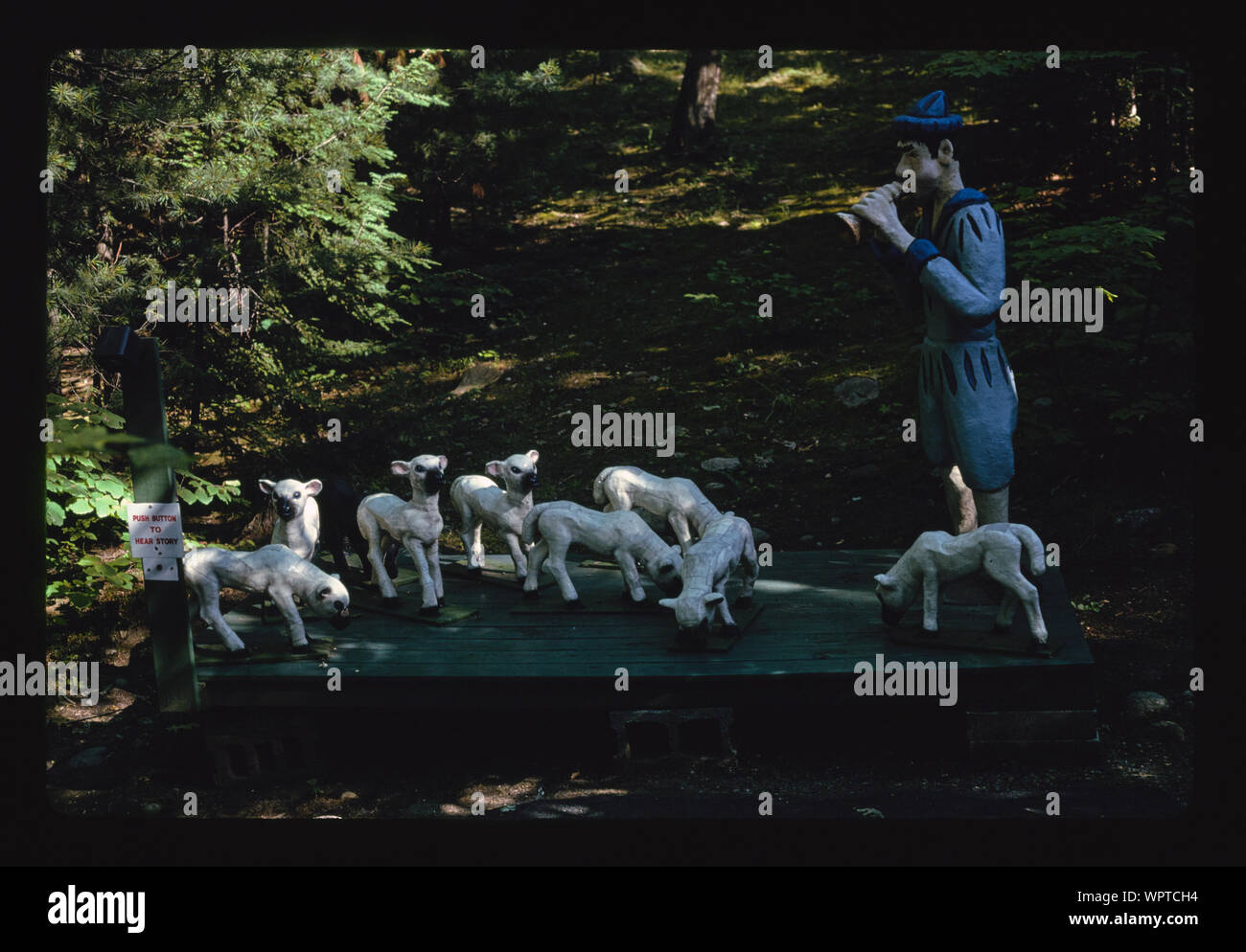 Magic Forest, Lake George, New York Stock Photo - Alamy