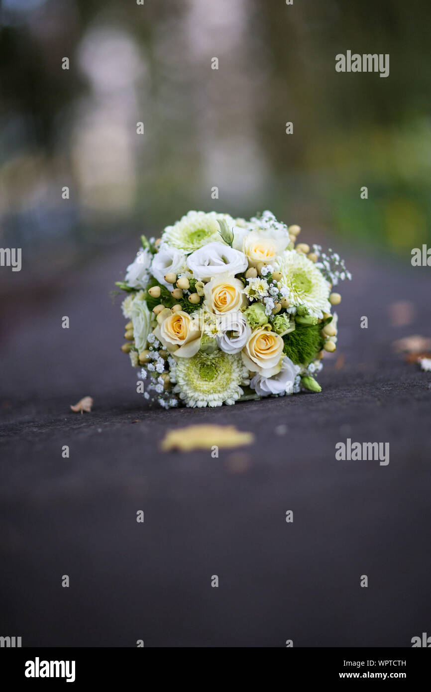 Road rose hi-res stock photography and images - Alamy