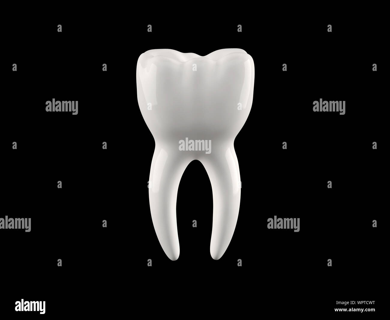 Human tooth hi-res stock photography and images - Alamy