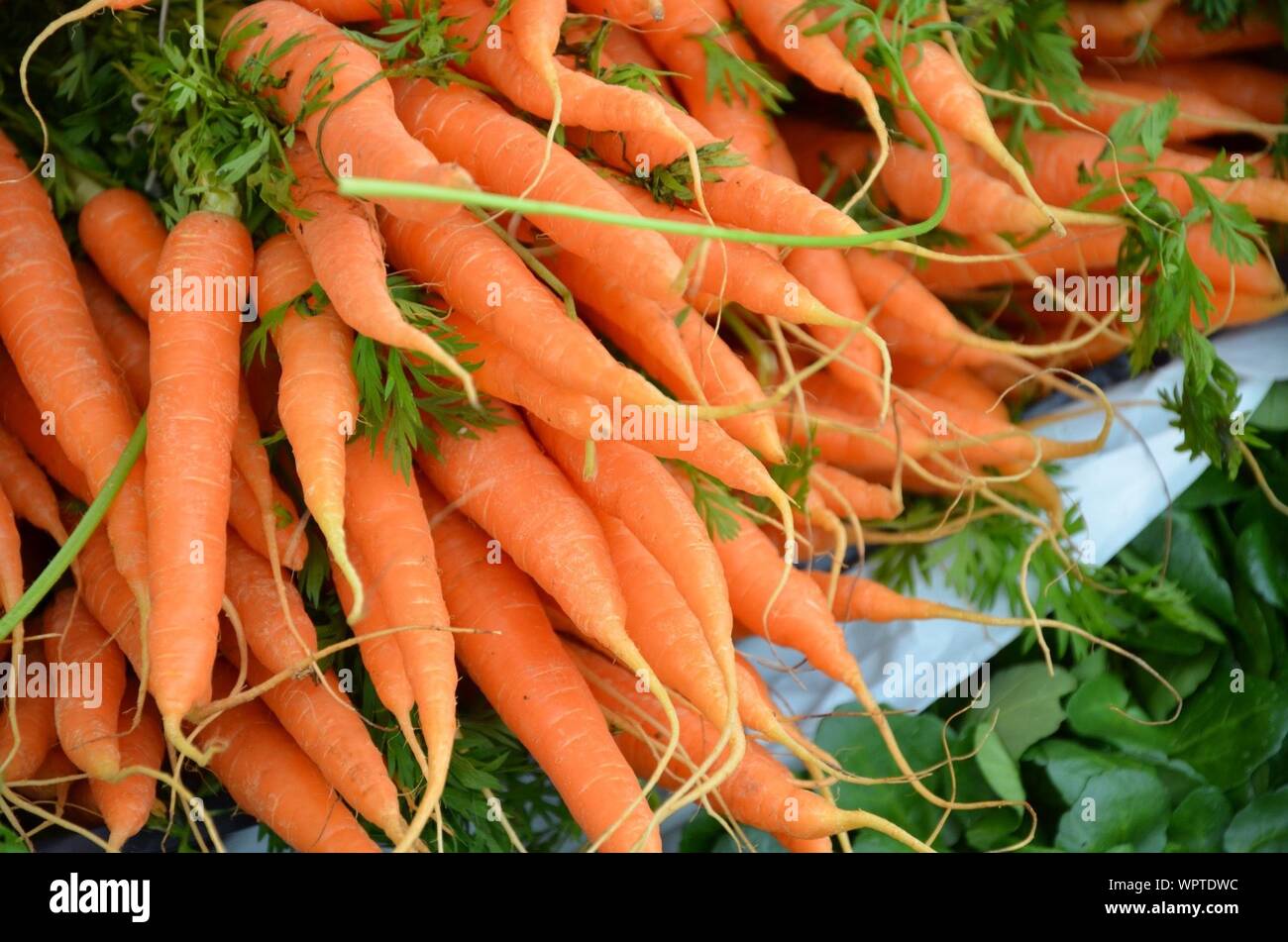 Display of carrots hi-res stock photography and images - Alamy