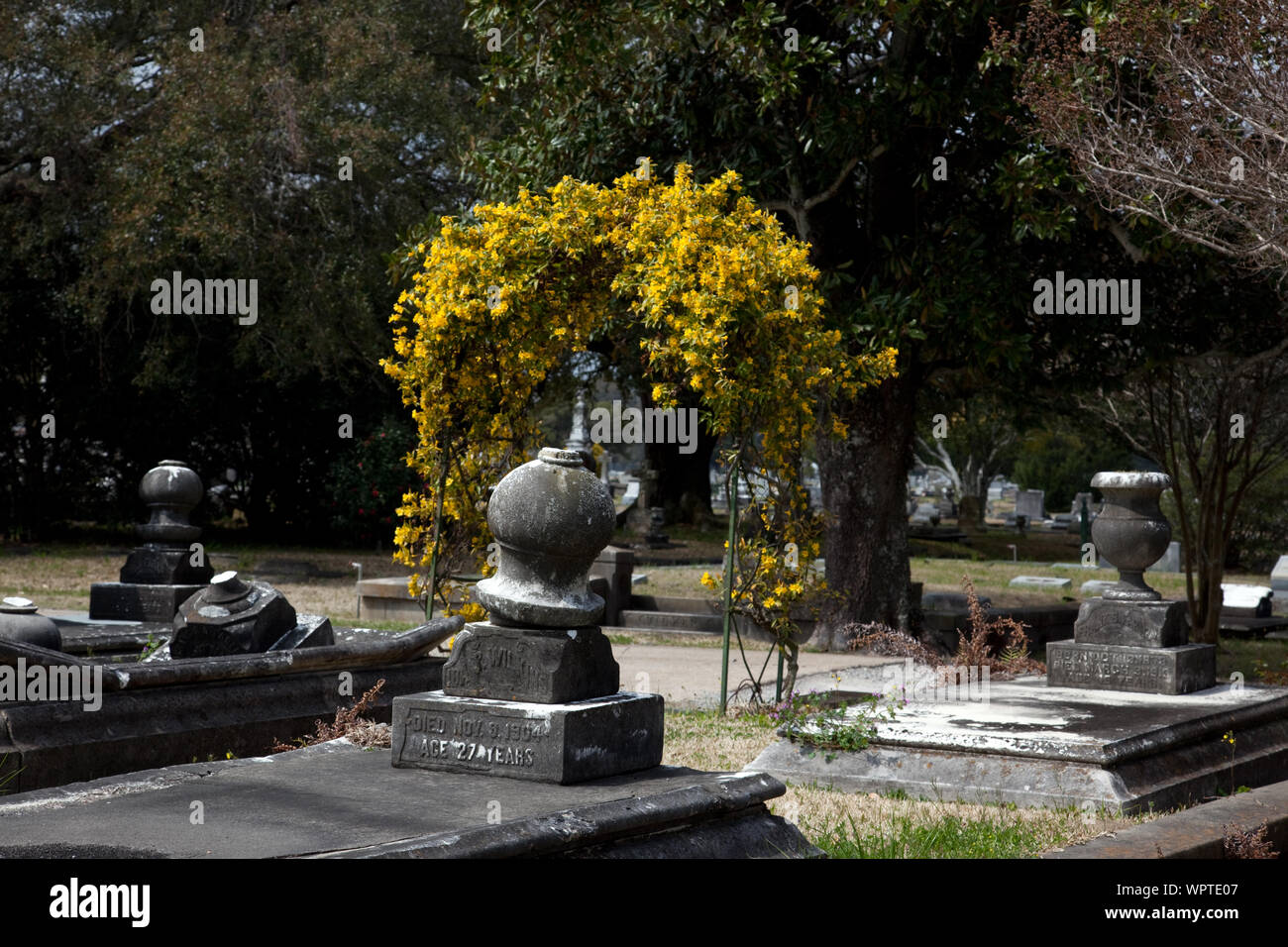 Magnolia Cemetery, Mobile, Alabama Stock Photo - Alamy