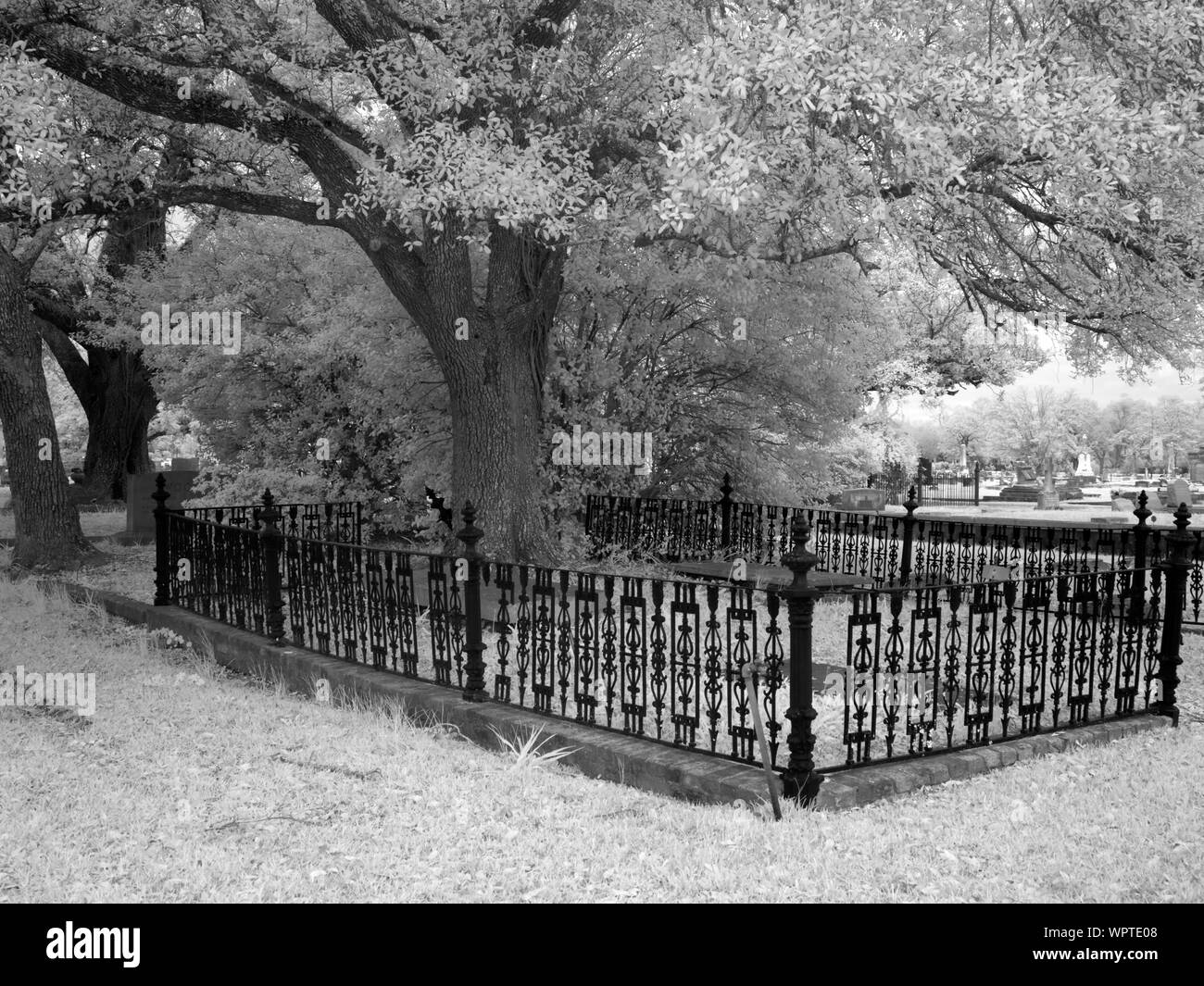 Magnolia Cemetery, Mobile, Alabama Stock Photo - Alamy