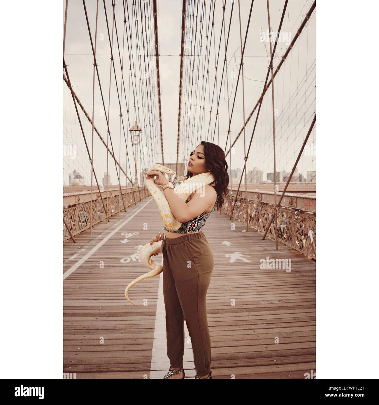 Snake bridge hi-res stock photography and images - Alamy