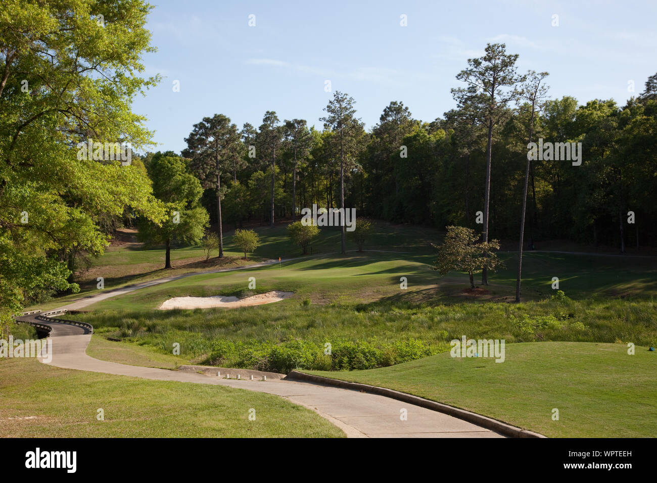 Magnolia Grove High Resolution Stock Photography and Images - Alamy