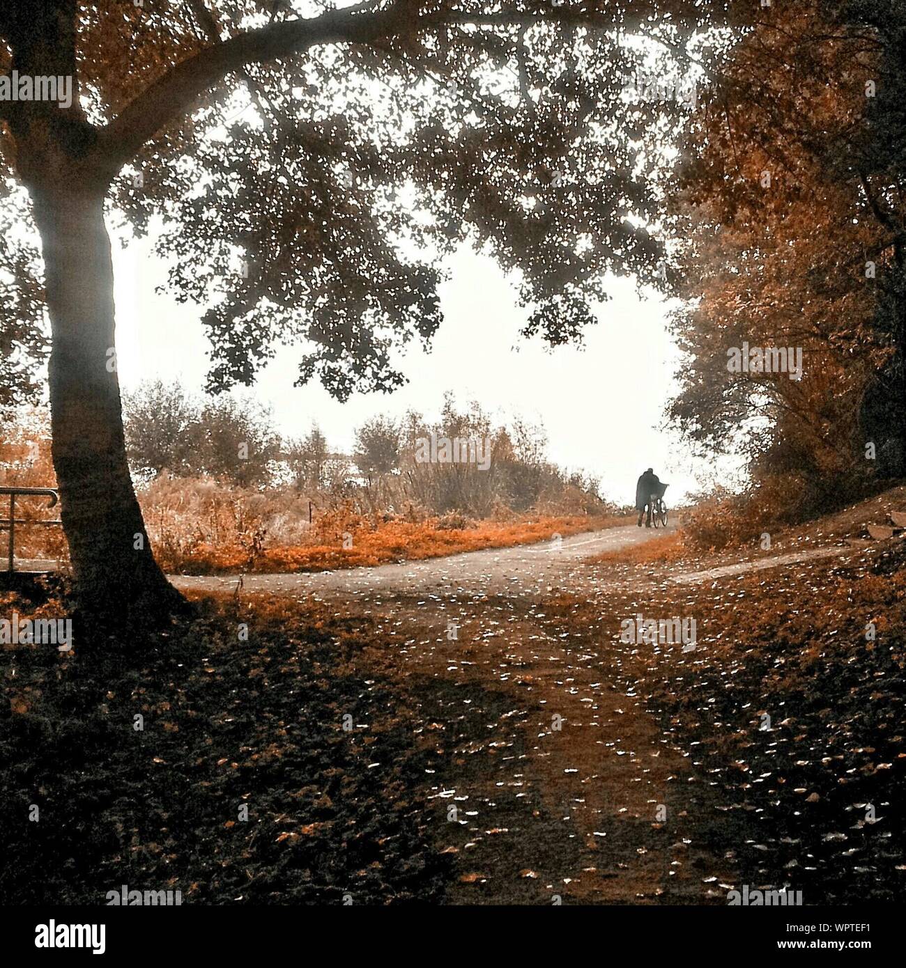 Walking into distance hi-res stock photography and images - Alamy