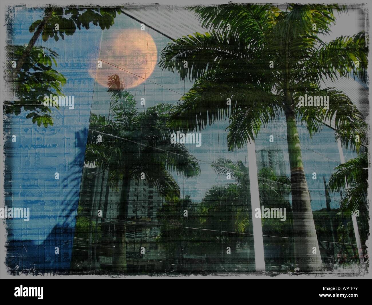 Window Moon High Resolution Stock Photography and Images - Alamy