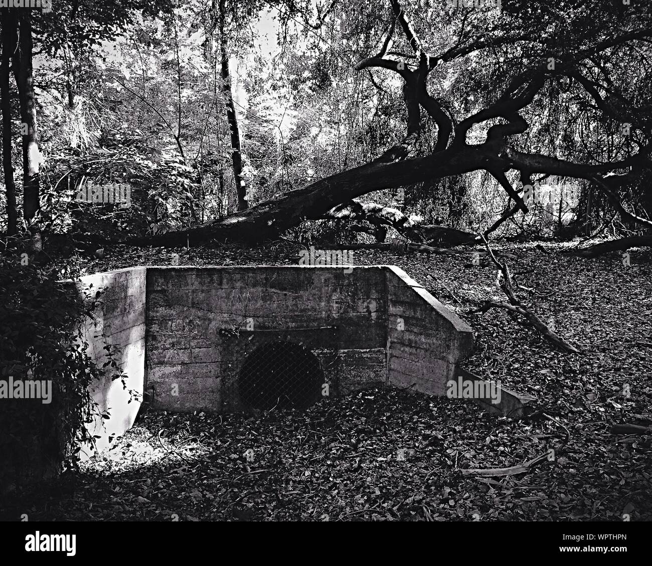 Slanted hi-res stock photography and images - Alamy